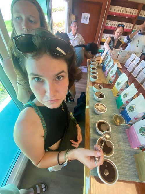 What we did in 2023 | bachrach-cox